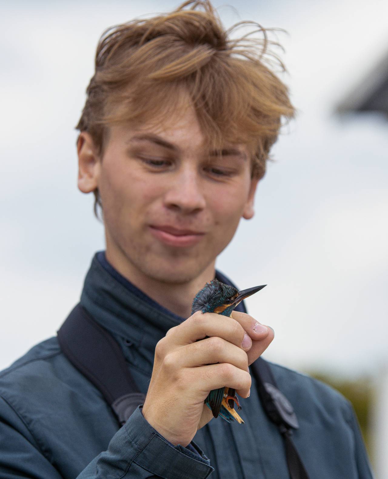 Gabriel Axelsson - Ungdomsskådarna BirdLife Sverige