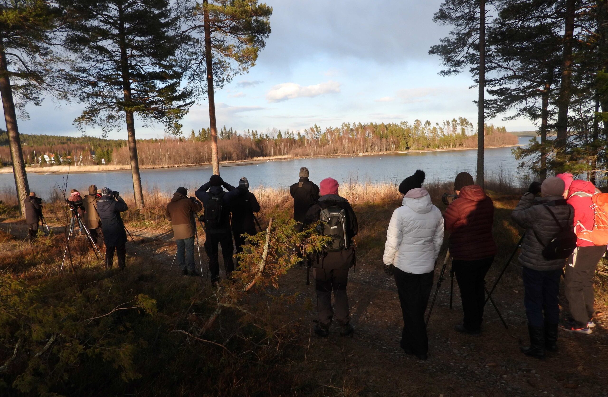 Udda fågel sågs vid fågelutflykten till Ottelandet 3 maj ...