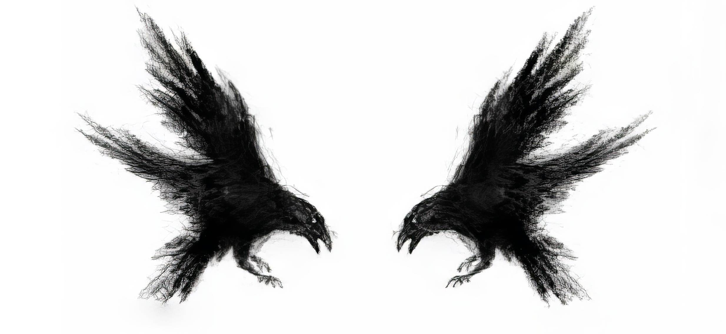 Årets första medlemsmöte 25 jan kl. 19:00 - BirdLife Medelpad