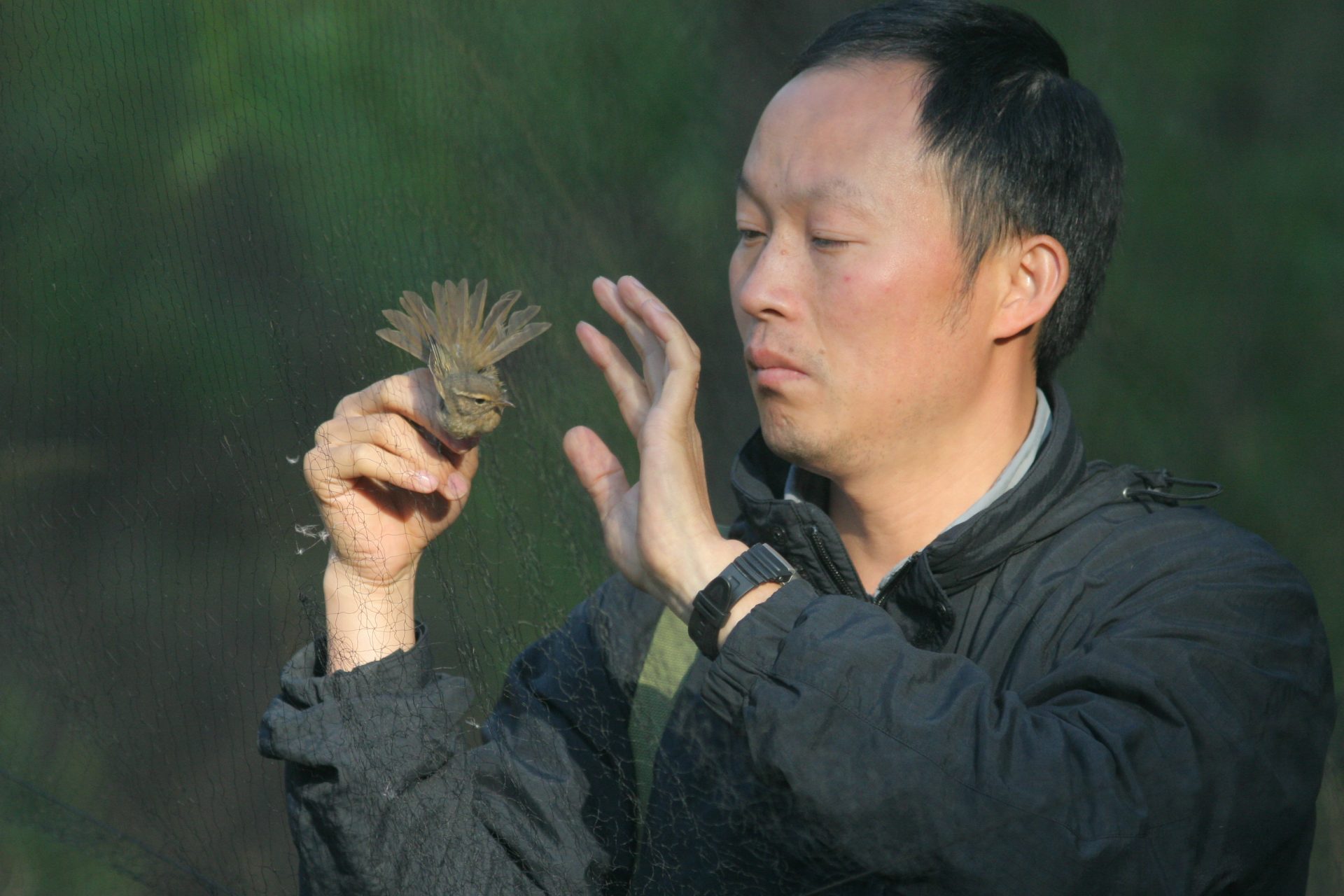 New book available now: Ageing & Sexing of Migratory East Asian ...