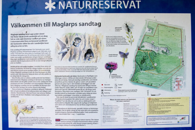 Så här bör ni parkera och observera biätarna i Maglarp - Skånes ...